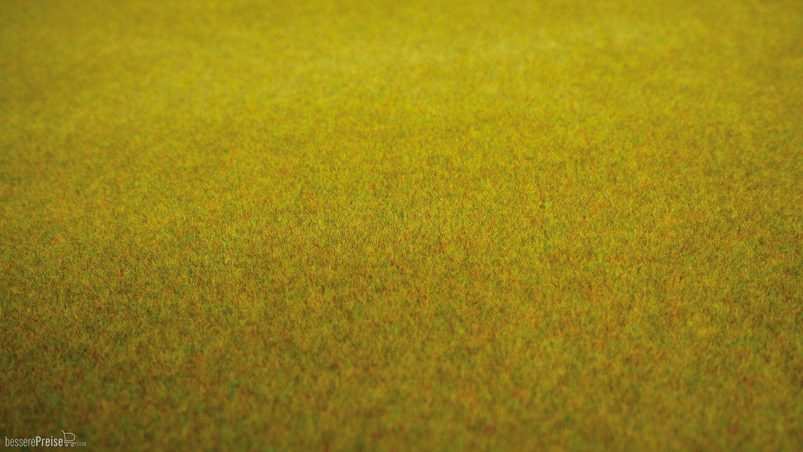 Noch 00280 - Grasmatte Sommerwiese